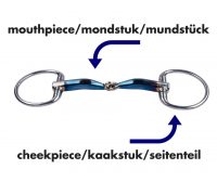 How to find the right bit size for your horse? – Trust Equestrian
