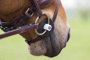 How to find the right bit size for your horse? – Trust Equestrian