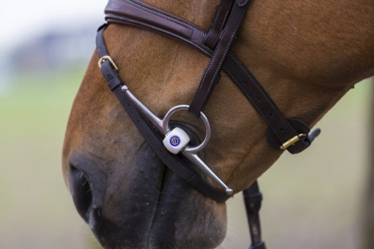 How to find the right bit size for your horse? – Trust Equestrian