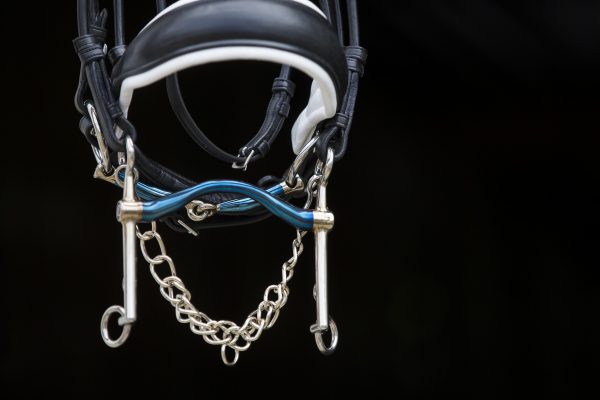 How to find the right bit size for your horse? – Trust Equestrian