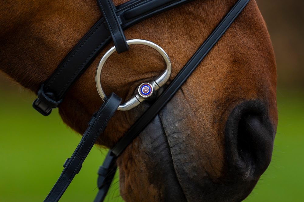 Producten – Trust Equestrian