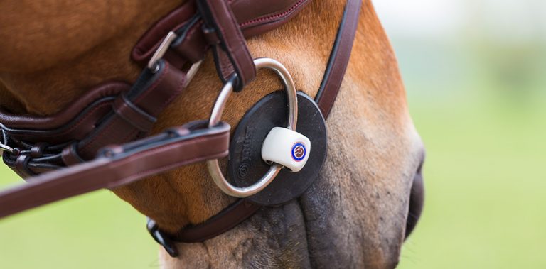 Gebisse – Trust Equestrian